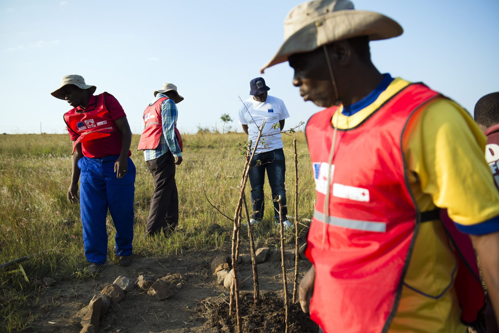 Crise climatique: lancement d’une plateforme mondiale pour la ...